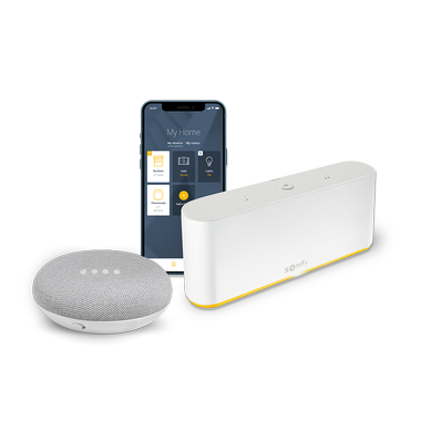 Oferta Somfy Expert 2022 Google Nest | Somfy