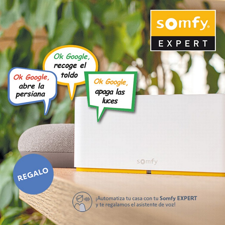 Oferta Somfy Expert 2022 Google Nest | Somfy